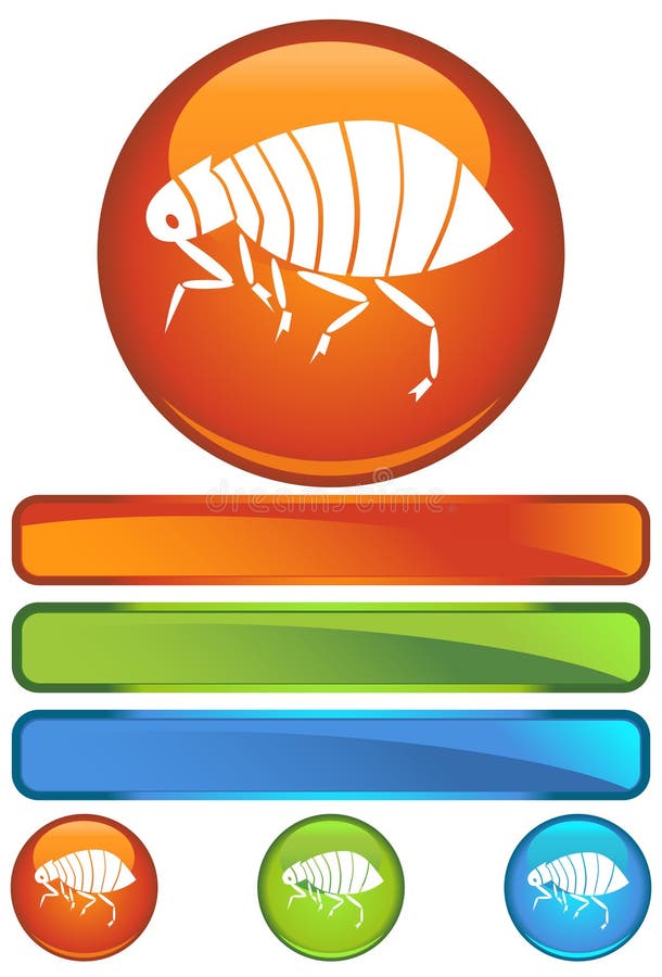 Graphisme Rond Orange - Puce Illustration de Vecteur - Illustration du ...