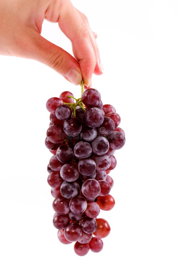 Grappe holding stock image. Image of copy, cluster, fruits - 26216195