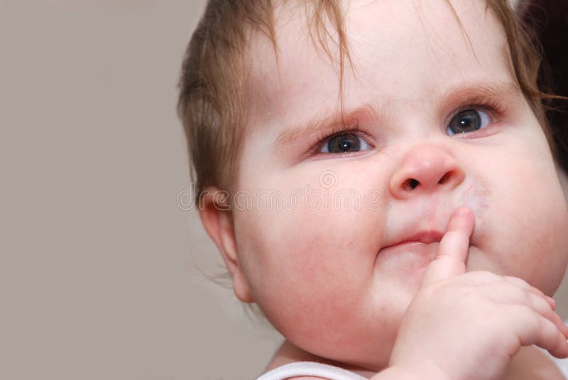 Verrast Babygezicht Grappig Pluizig Syrisch Hamster Eet Schreeuwen,