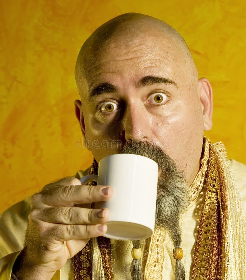 Grappige Goeroe stock afbeelding. Image of wijs, boedha - 3020771