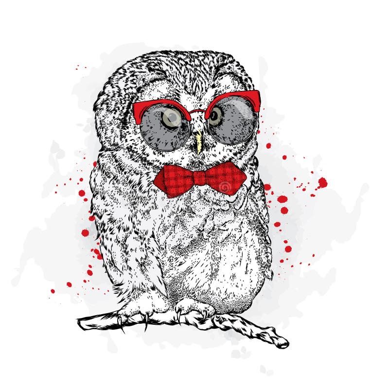 Grappige Uil Met Bril En Stropdas Vector Illustratie - Illustration of ...