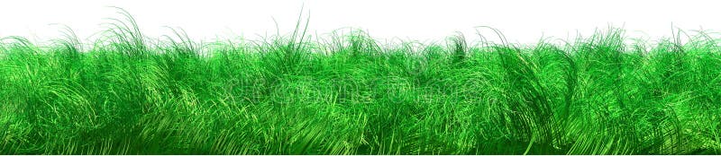 Gras Bild. Bild: 5108760