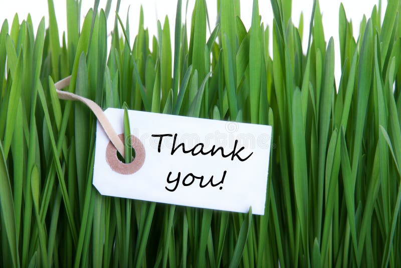 Gras Background with Thank You Stock Image - Image of express, green ...