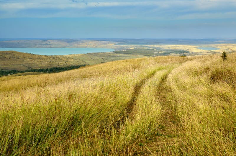 Grass in Caucasus heath stock photo. Image of outdoor - 33502136