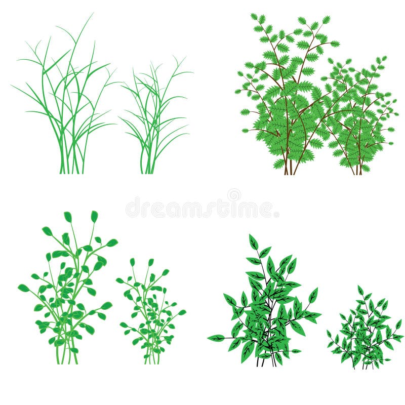 Vector Set Van Groene Struiken Vector Illustratie - Illustration of ...