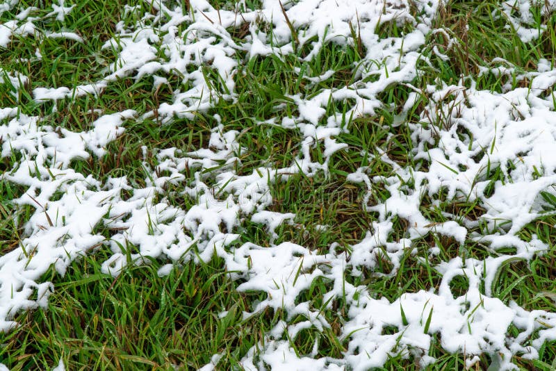 Gras Und Boden Umfasst Im Schnee Im Winter Stockbild - Bild von feld ...