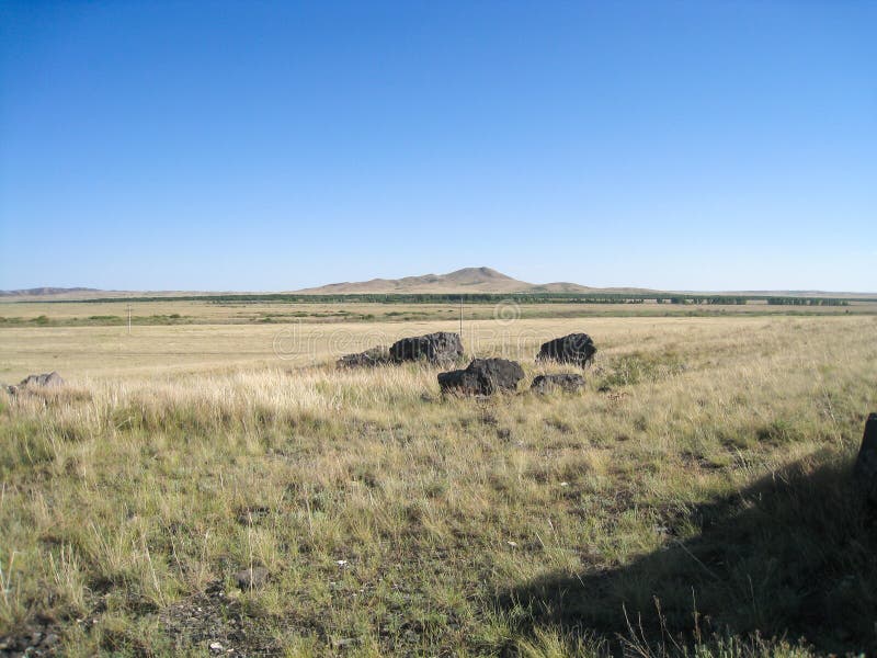 Grasland stockbild. Bild von seebrücke, park, leuchten - 41648923