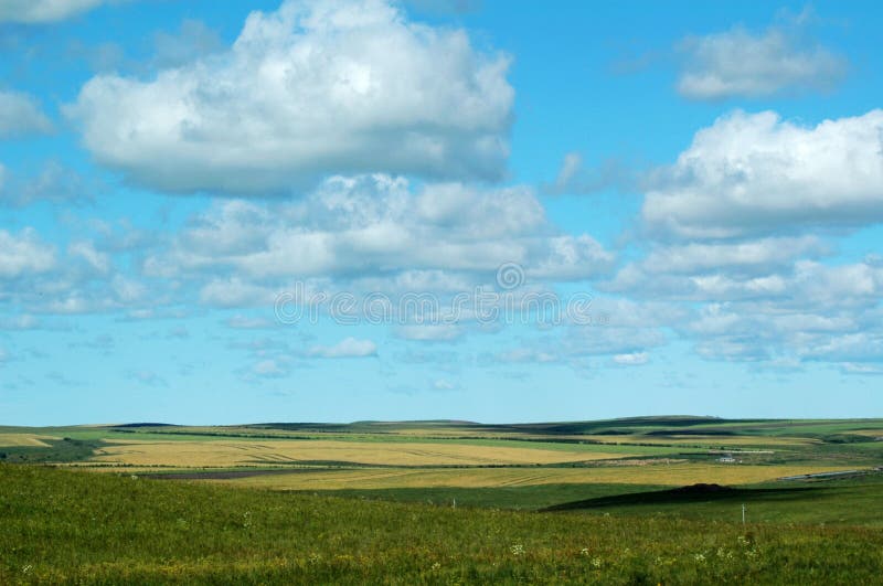 Grasland stockfoto. Bild von wolken, himmel, sommer, antreiben - 8426872