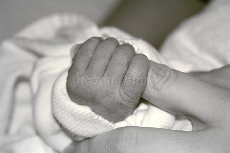 Grasp stock image. Image of love, home, mother, infant - 162715