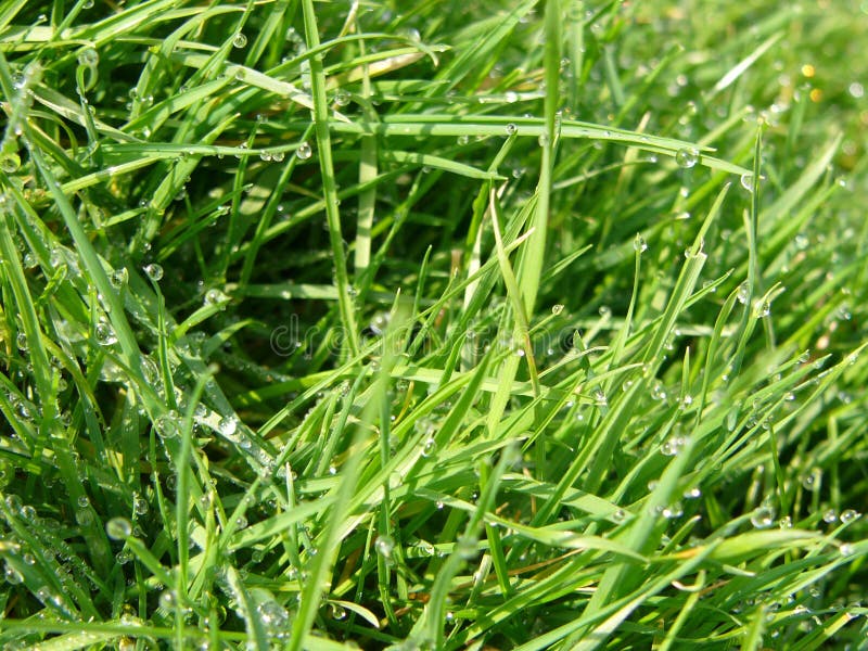 Stylish water splash stock photo. Image of abstract, macro - 12351154