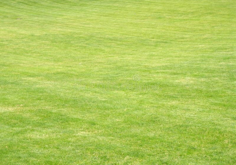 Grass stock image. Image of hill, grass, texture, green - 1137921