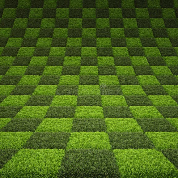 Chess Texture Grass Stock Illustrations – 64 Chess Texture Grass Stock ...