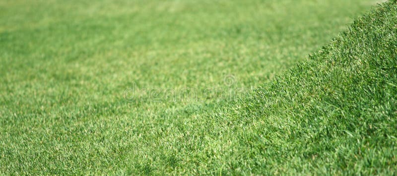 10,024 Grass Elevation Stock Photos - Free & Royalty-Free Stock Photos ...