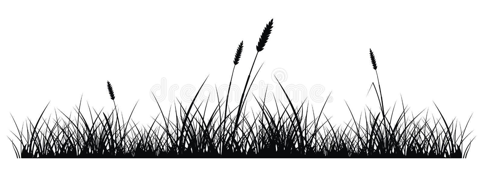 Wheat and grass stock vector. Illustration of countryside - 4137386