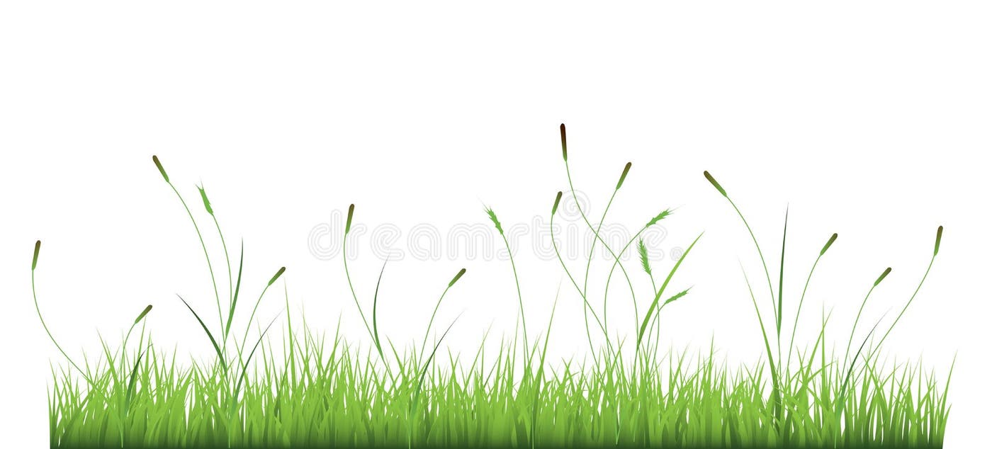 Grass Short Vector Stock Illustrations – 422 Grass Short Vector Stock ...