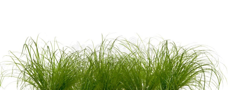 Splash of water stock photo. Image of background, motion - 24138456