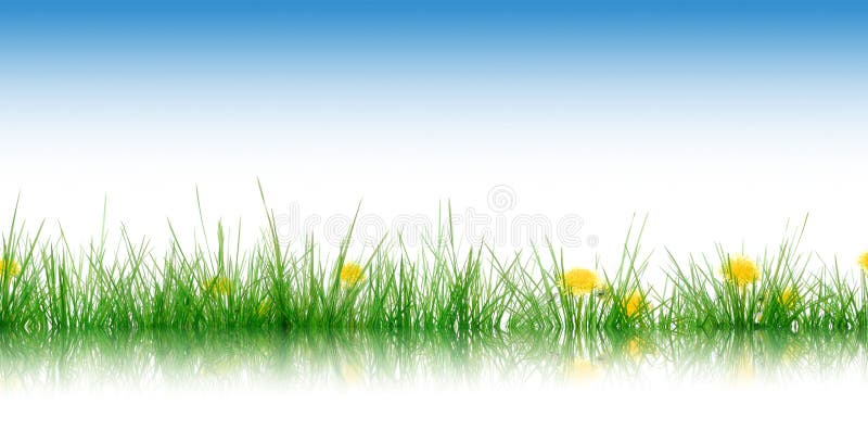 Spring Flowers and Grass Header Stock Vector - Illustration of green ...