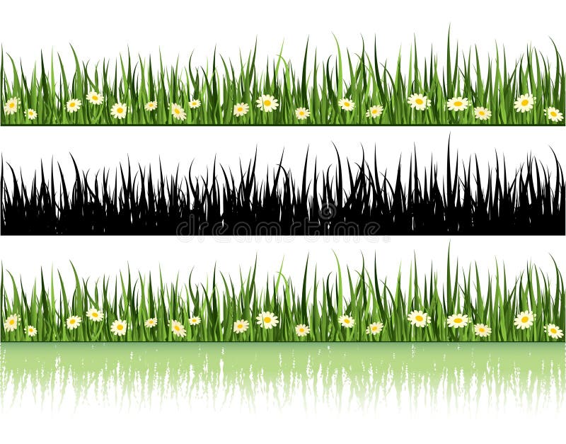 Green Grass Reflected stock vector. Illustration of design - 9705977
