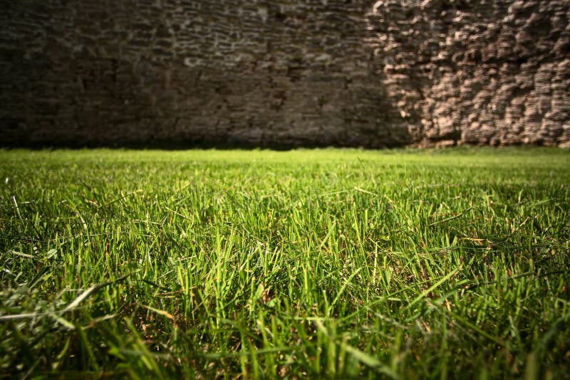 Grass of an ancient wall stock image. Image of exterior - 98183947