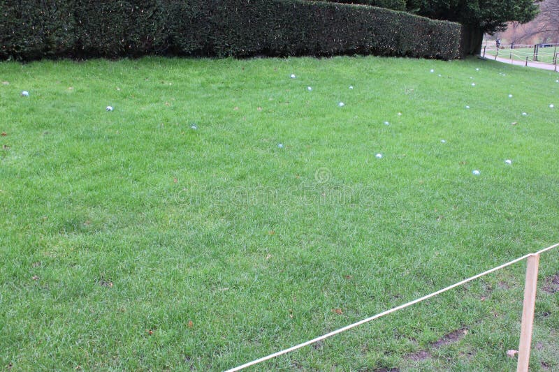 Grass Area with Blue String Lights on Ground Stock Photo - Image of ...