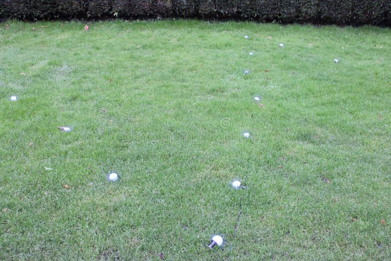 Grass Area with Blue String Lights on Ground Stock Photo - Image of ...