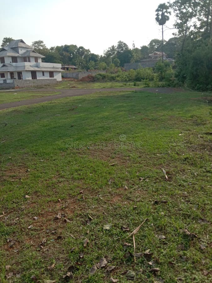 Grass Area Covers with House and Trees Stock Photo - Image of grass ...