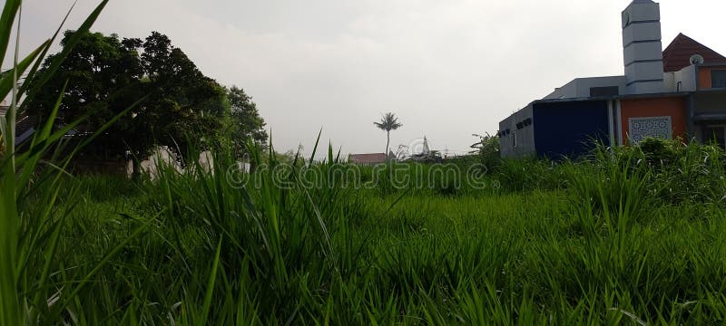 Grass Area and Midle House Close Off Version Stock Photo - Image of ...