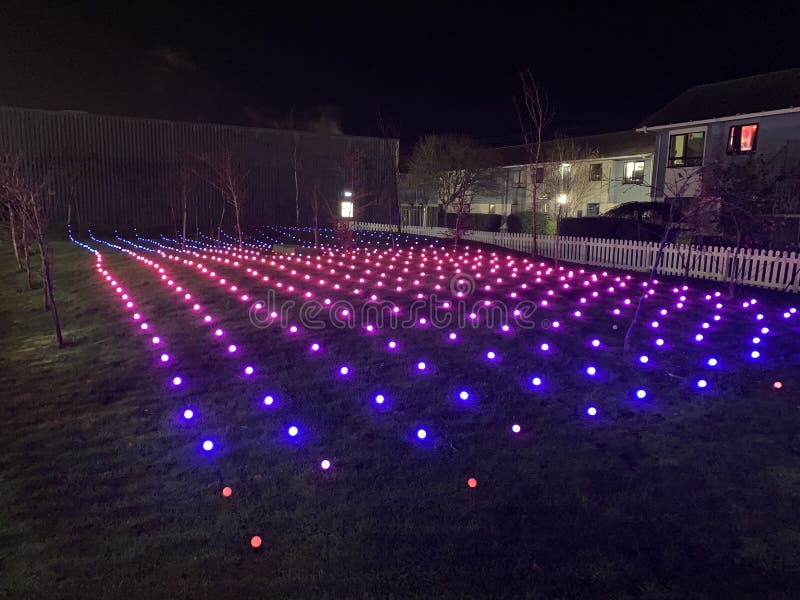 Grass Area at Night with Rows of Smart Multicoloured Circular LED ...