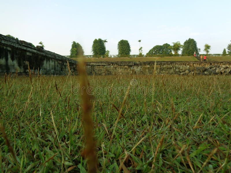 Grass around the temple editorial photography. Image of classic - 119988347