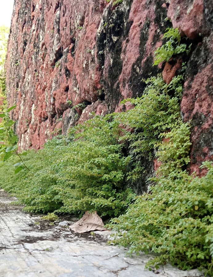 The Grass Around the Wall is Textured with Beautiful Rocks Stock Photo ...