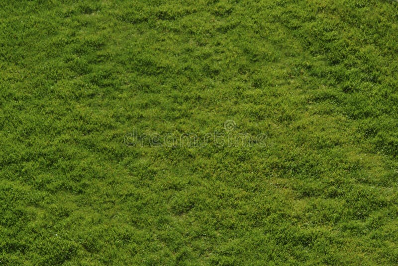 2D Map of Grass Field in Singapore Stock Photo - Image of mapping ...