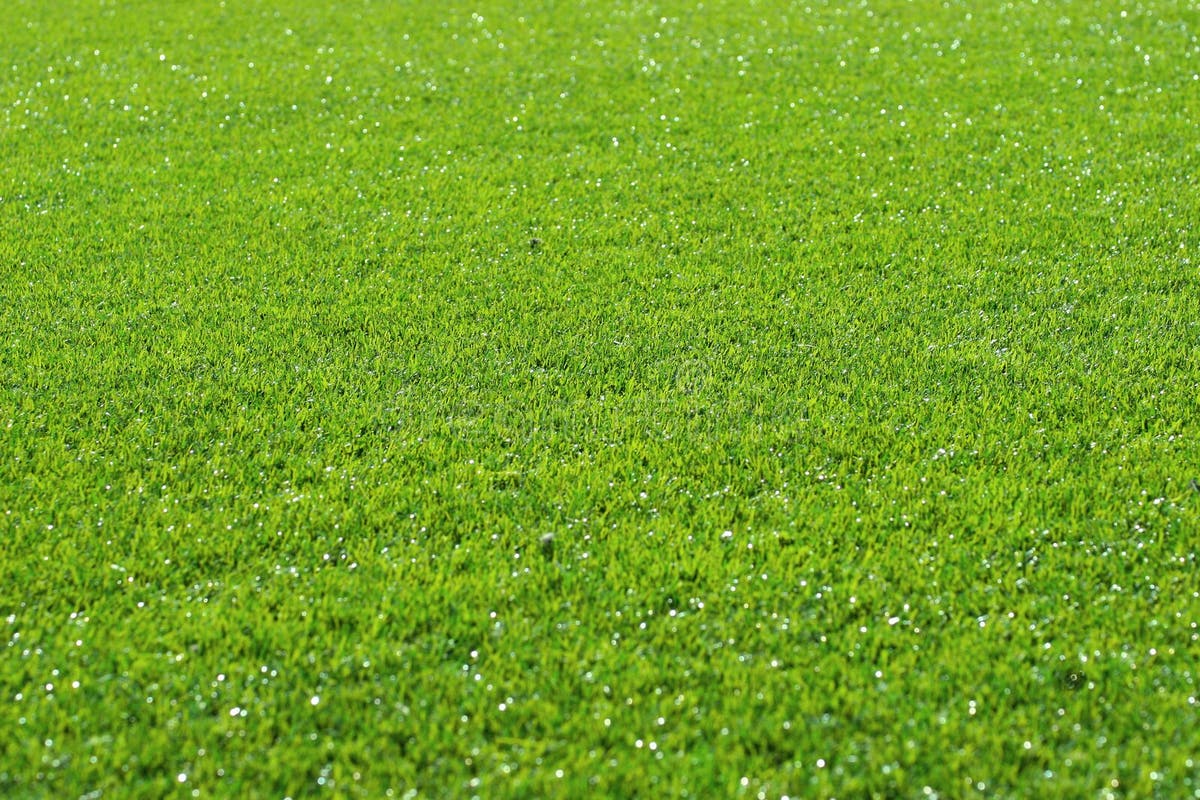 935 Astroturf Background Stock Photos - Free & Royalty-Free Stock ...