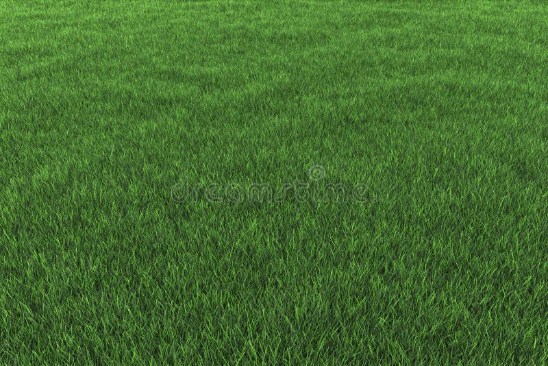 Grass background stock illustration. Illustration of natural - 21379889