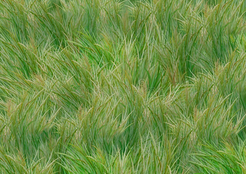 Grass background stock vector. Illustration of macro, nature - 6706124