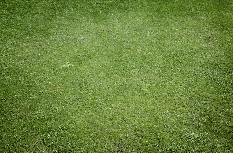 Fifa Grass Texture