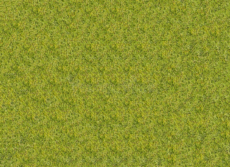 Texture Grass Golf Course For Design Pattern And Background. Stock ...