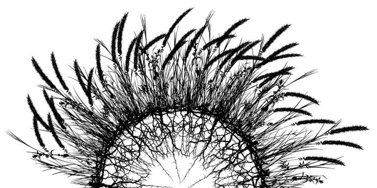 Circular Roots Stock Illustrations – 405 Circular Roots Stock ...