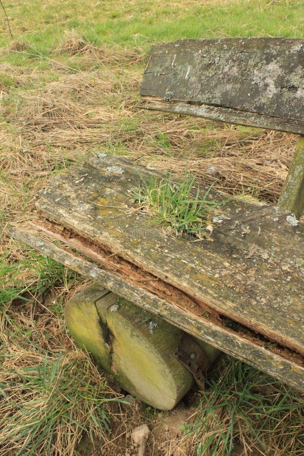 The grass bench stock photo. Image of pass, bunch, board - 51807344