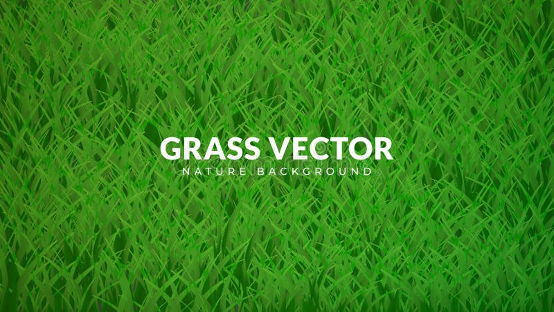 Green Grass Background Texture. Eps File Vector Design. Stock Vector ...