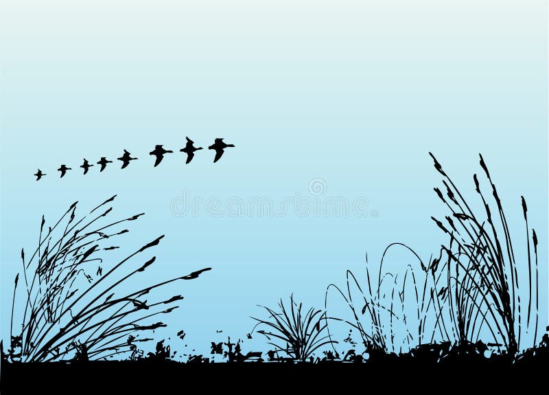 Grass and birds vector stock vector. Illustration of design - 3600364