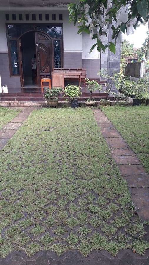 Grass block stock photo. Image of hexagon, including - 261989546