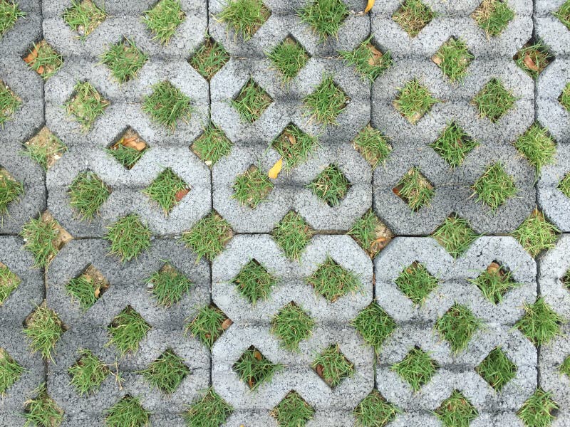Grass block stock photo. Image of block, closeup, concrete - 82565078