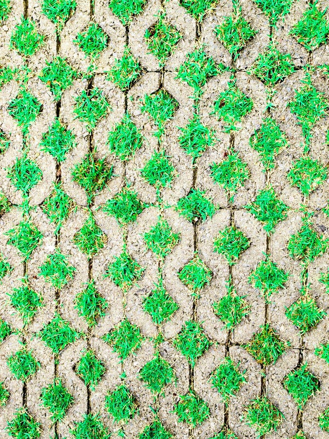 Grass block stock image. Image of brick, nature, beautiful - 34110769