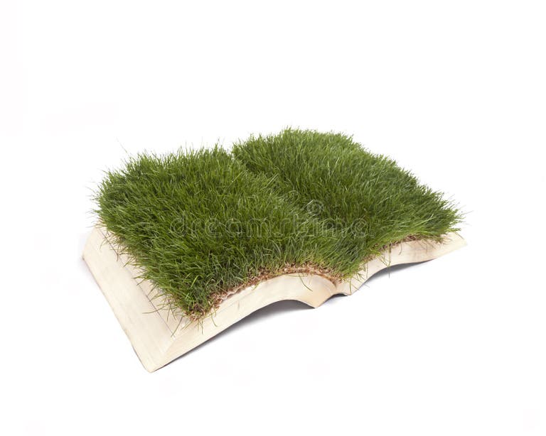 Grass Book stock photo. Image of lawn, novelist, green - 32286176