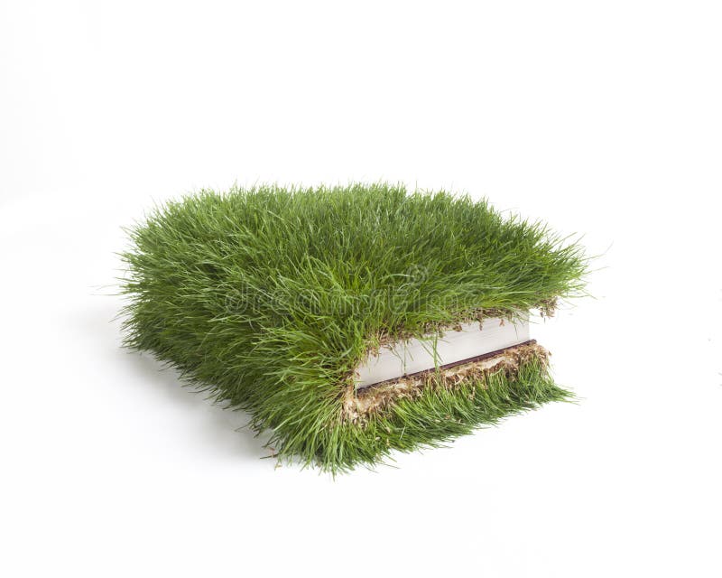 Grass Book stock image. Image of learn, read, gardening - 32286151