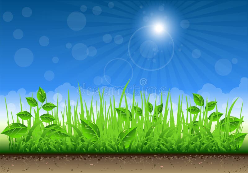 Grass Border on Natural Green Background Stock Vector - Illustration of ...
