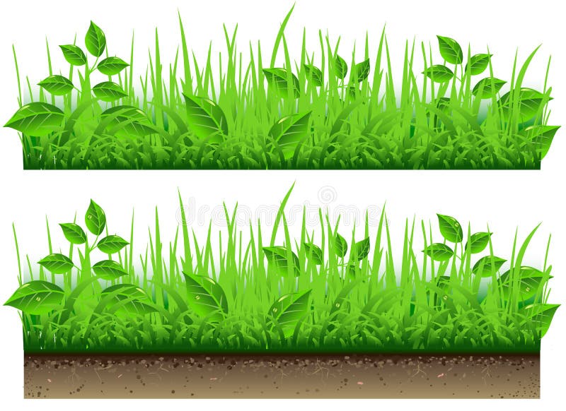 Grass Border Isolated on White Background Stock Vector - Illustration ...