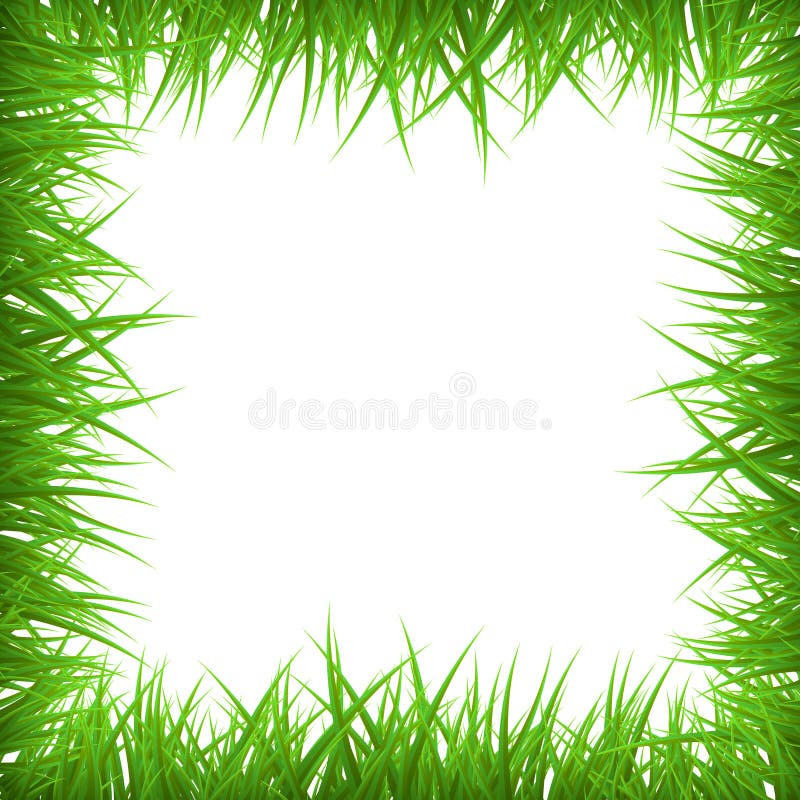 Grass Border stock vector. Illustration of grass, green - 72585459
