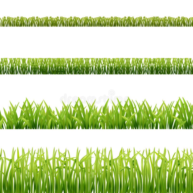 Grass Borders Set stock vector. Illustration of fresh - 231024059
