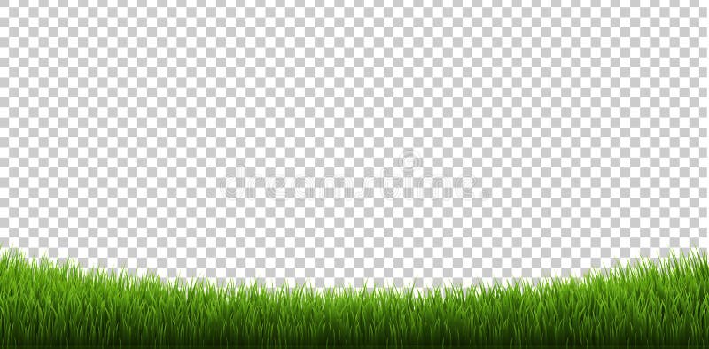 Grass Borders Set Isolated Transparent Background Stock Vector ...